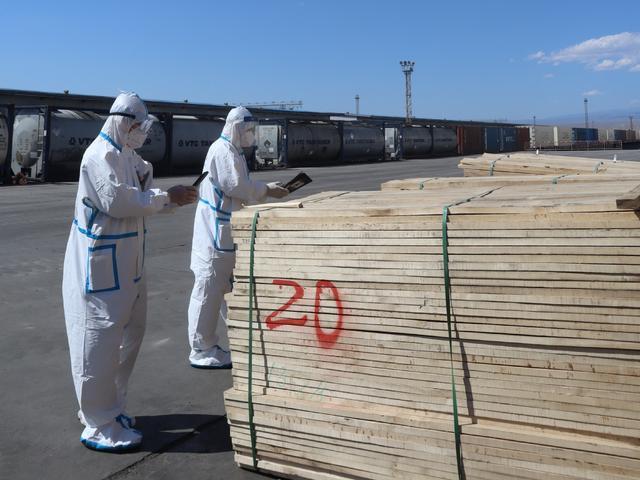 over 40 billion yuan! In the first half of the year, Alashankou handed ...